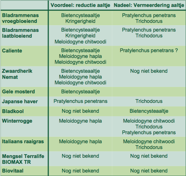 Groenbemesters | Schoon Water