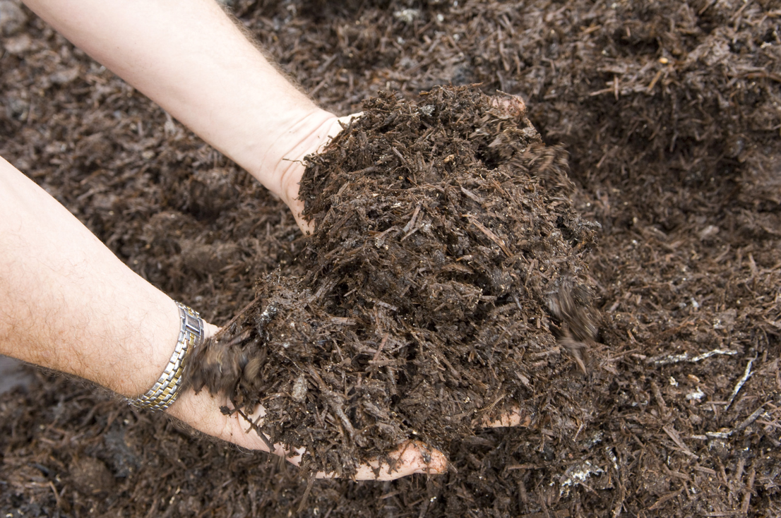 Schoon Water tip boomteelt: Compost stimuleert het bodemleven en zorgt ...